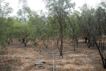 ACARP Project - Umwelt