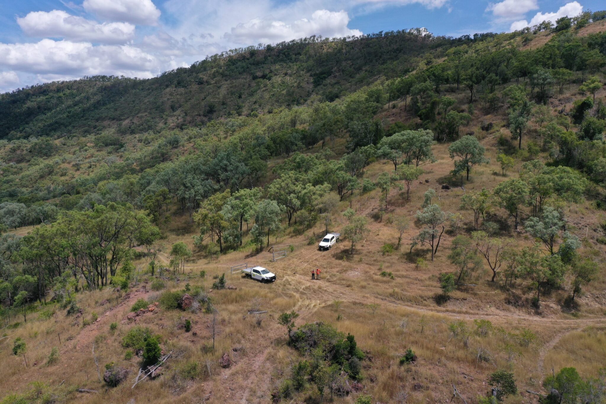 Moah Creek Windfarm - Umwelt
