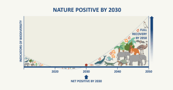 Defining Nature Positive - Umwelt