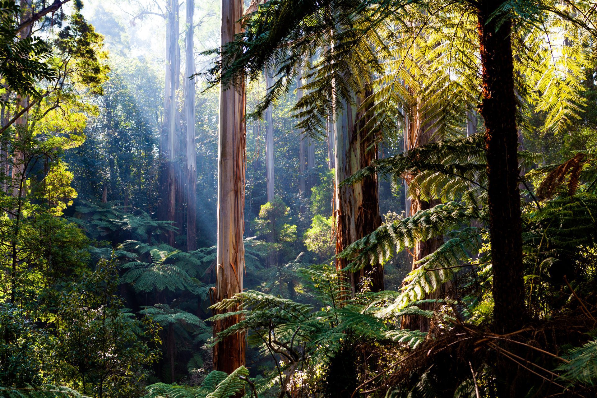 Nature Positive - Umwelt