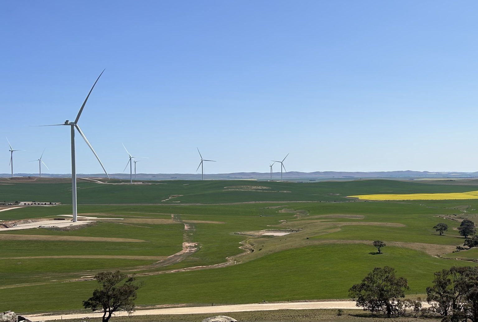 Goyder South - Umwelt