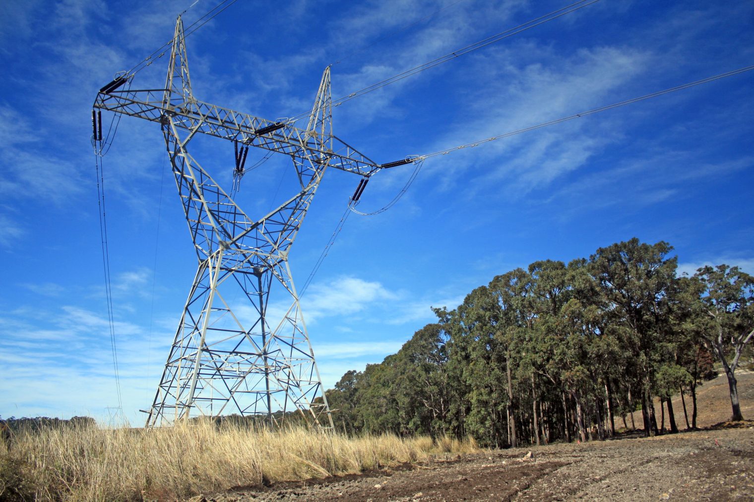 Environmental & Social Consultants Australia: Umwelt
