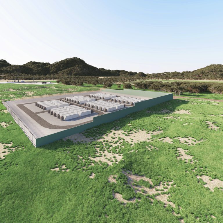 Williamsdale Battery Energy Storage System - Umwelt