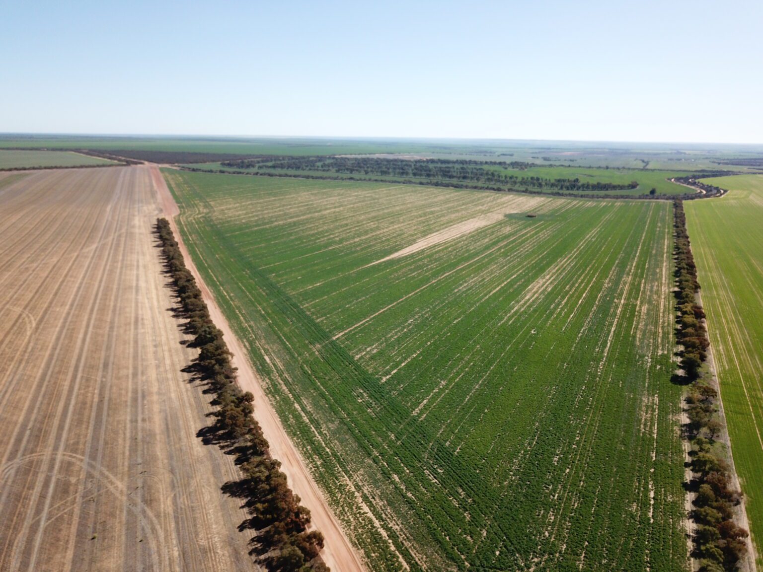 Tenindewa Vanadium Processing Facility - Umwelt